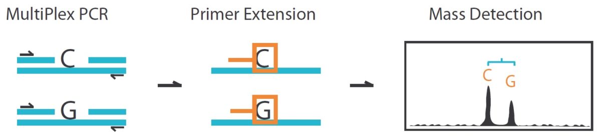 SNP Genotyping Analysis | | 豐技生技