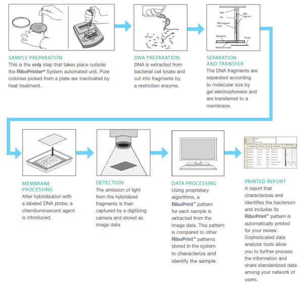 食品及藥廠微生物檢測-Hygiena (Dupont) | | 豐技生技