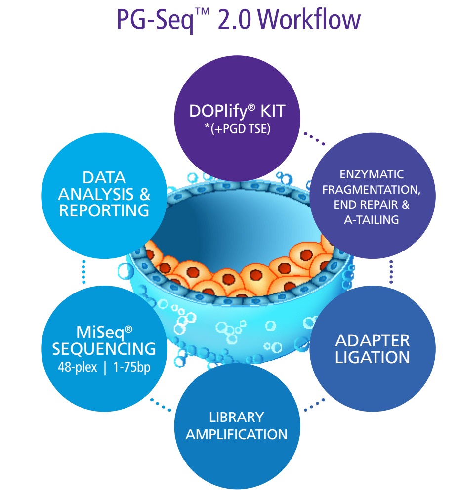 產前檢測與生殖醫學-PGS | 豐技生技