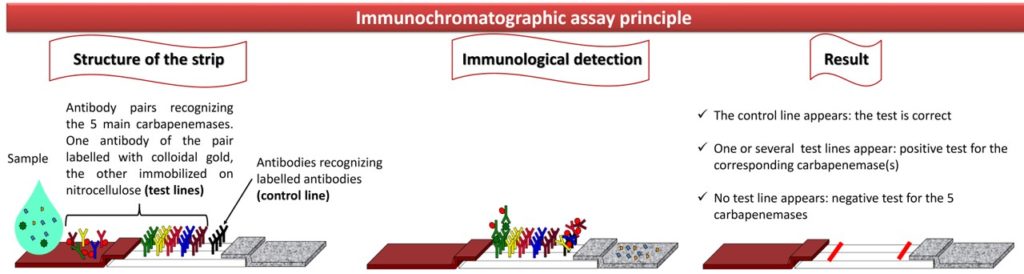 NG-Test CARBA 5 原理 | 豐技生技