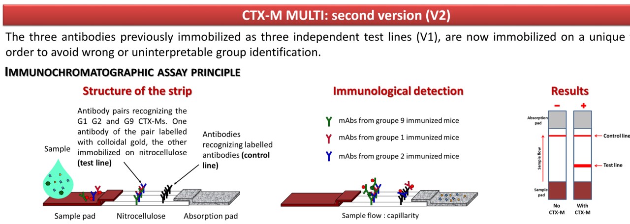 NG-Test CTX-M MULTI 原理 | 豐技生技